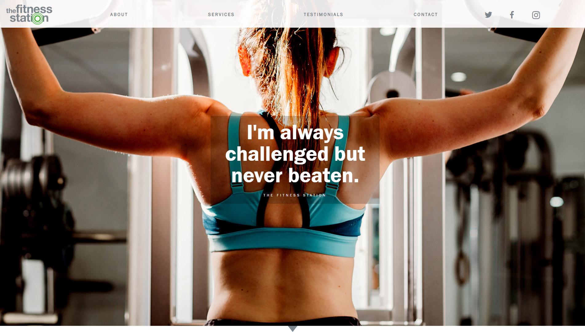 Bilden - WordPress websites, website updates and maintenance